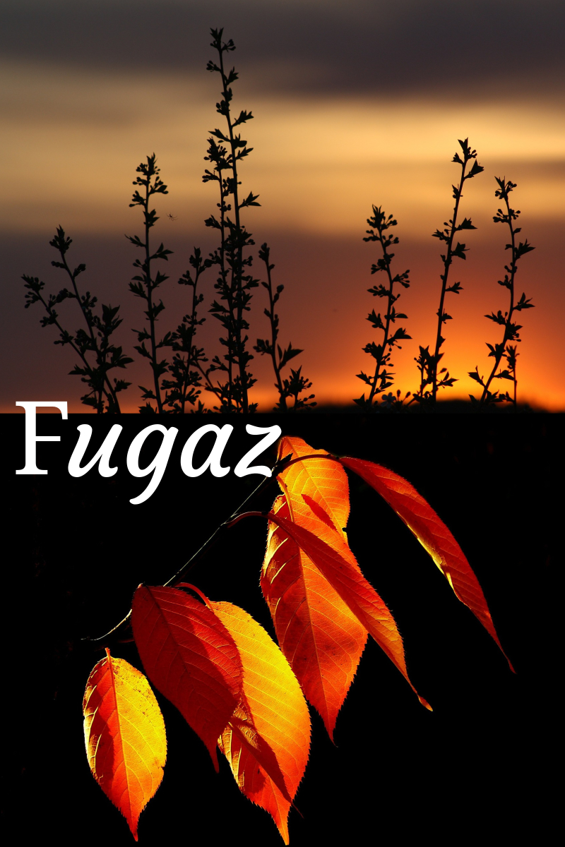 Fugaz | Club de Escritura Fuentetaja