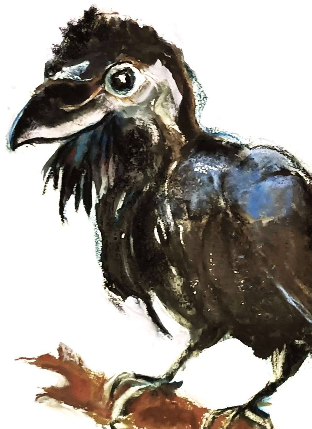 El cuervo y yo | Club de Escritura Fuentetaja