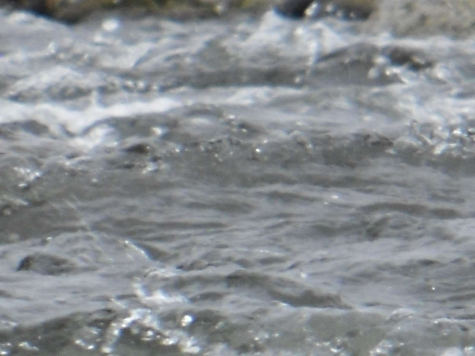 Nihilismo. | Club de Escritura Fuentetaja