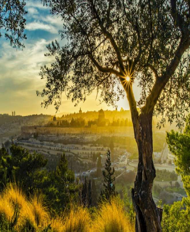 El Sermón de la Montaña | Club de Escritura Fuentetaja